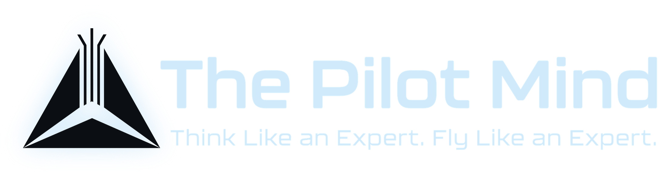 The Pilot Mind - Think Like an Expert, Fly Like an Expert